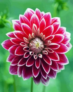 Aesthetic Single Flower Paint By Numbers - My Paint By Numbers