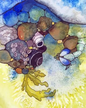 Rockpool Art Paint By Numbers - My Paint By Numbers